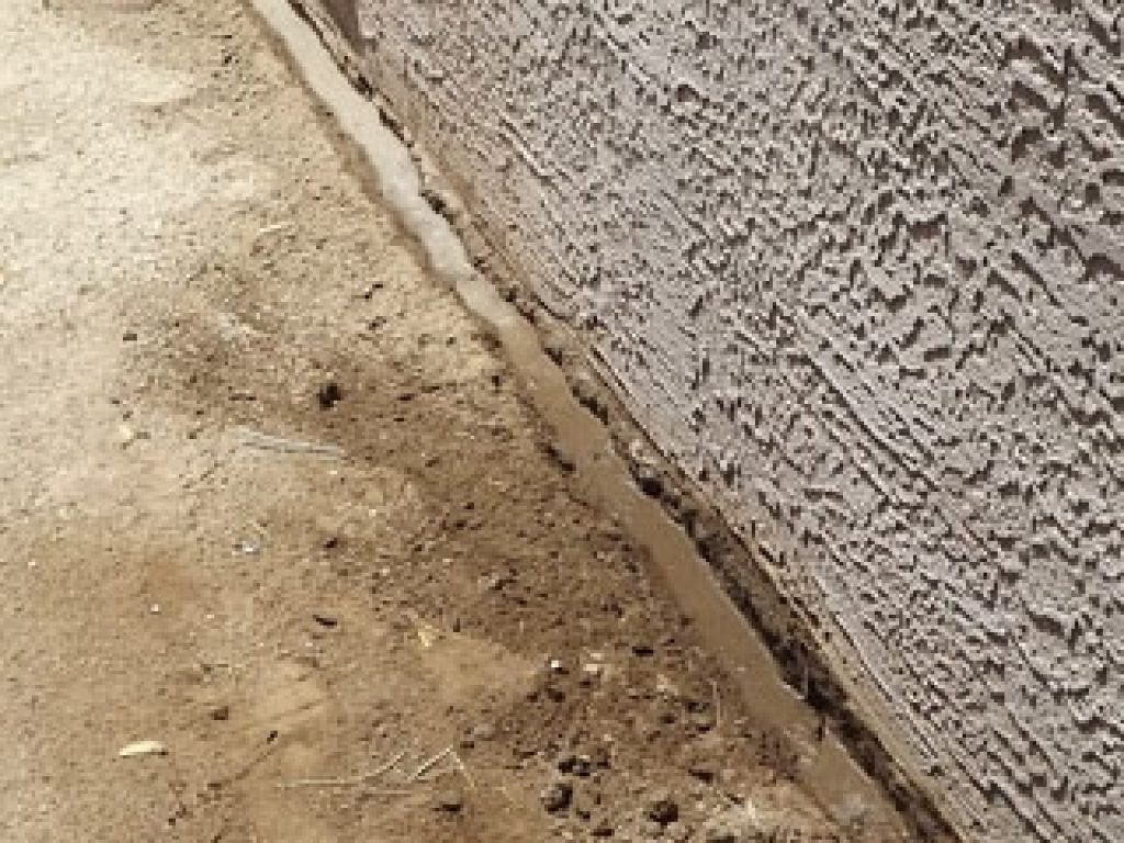 Subterranean Termites In Arizona And Treatment Options